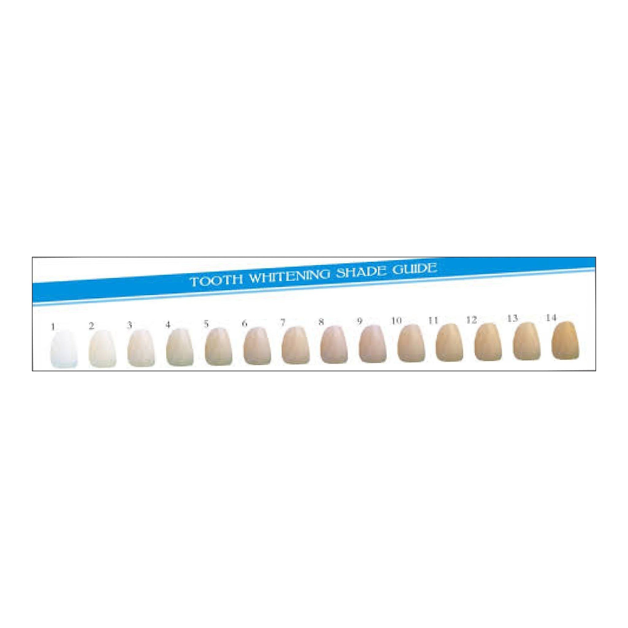 Teeth Shade Guide Laminated Whitening Progress Tracker - Smile Logic ...